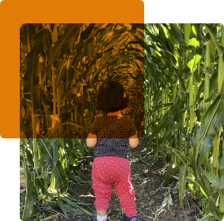 Dunham Massey Pumpkin Picking – Brookheys Farm